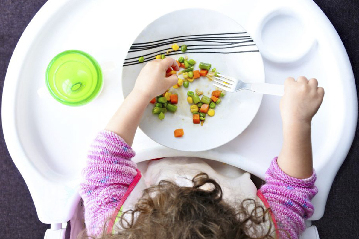 Tackling the Brain Development Impact of Ultra-Processed Foods with ...