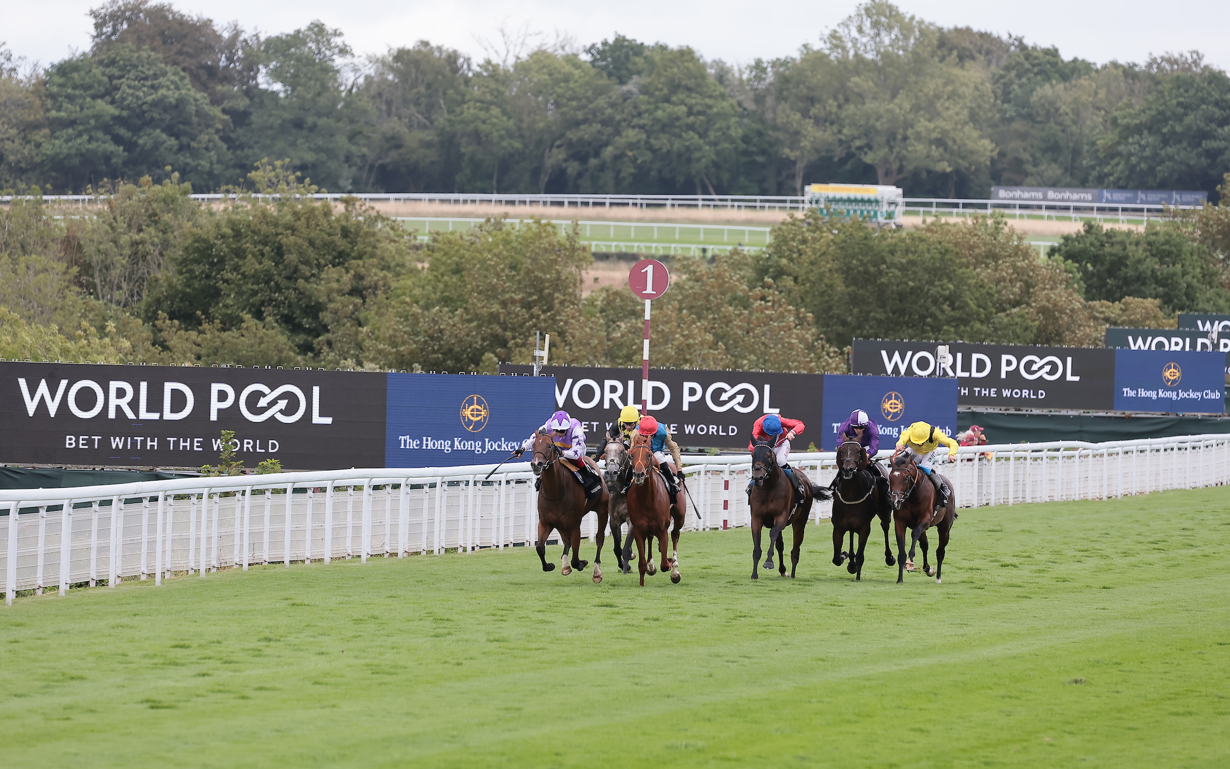 World Pool celebrates record-breaking 2023 - News, Events, Advertising ...