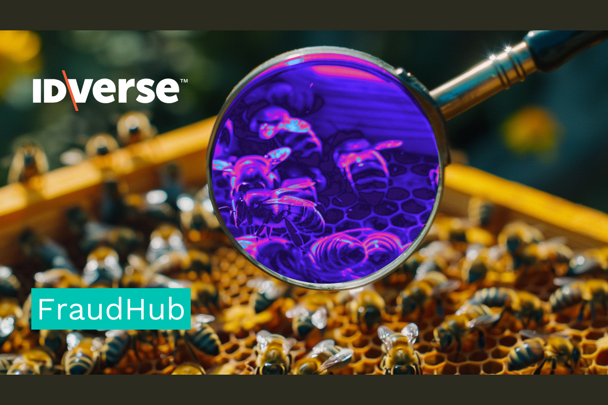 IDVerse Revolutionizes Fraud Prevention with the Launch of FraudHub - News, Events, Advertising ...