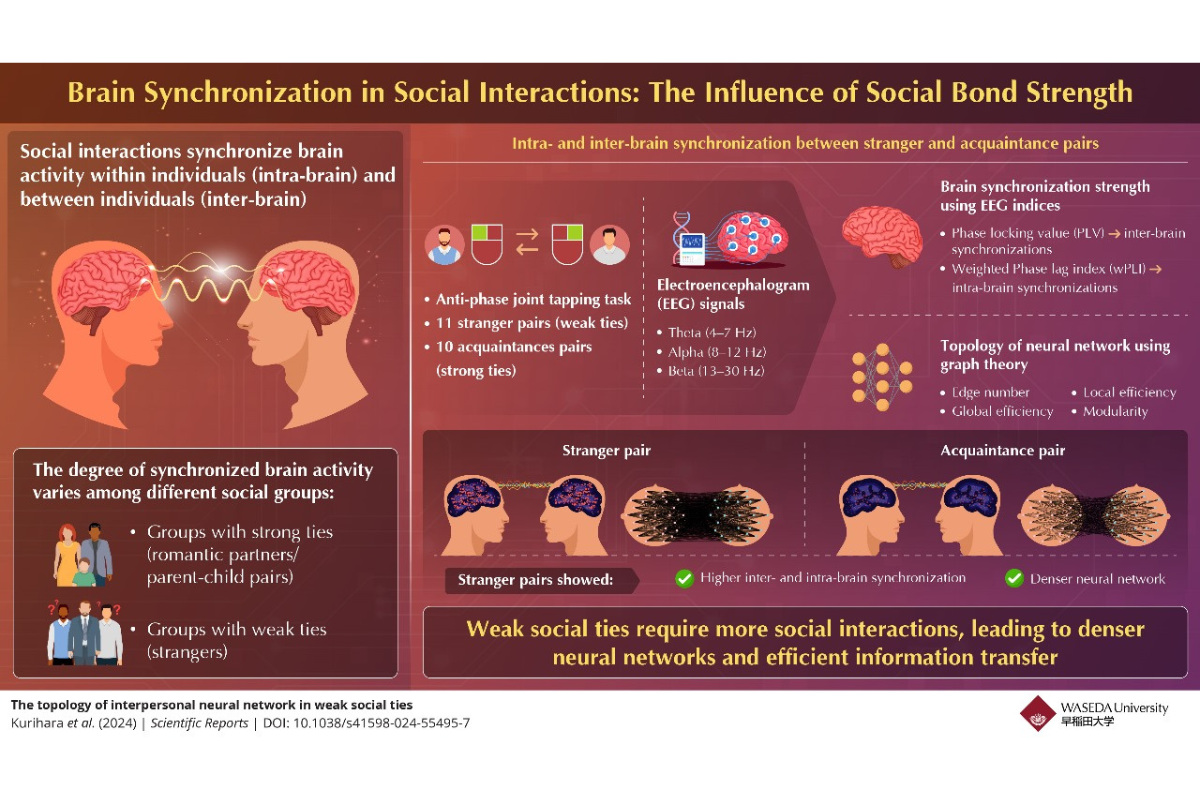 Exploring Brain Synchronization Patterns During Social Interactions News Events Advertising